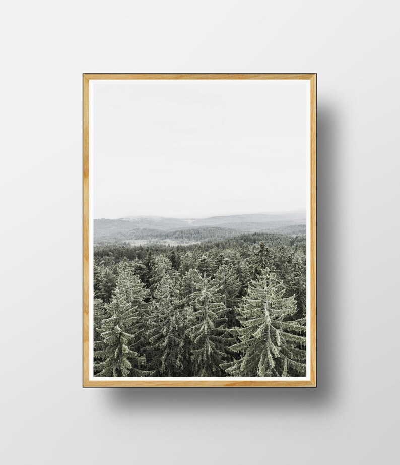 Forest Print Forest Printable Landscape Fog Wall Art - Etsy