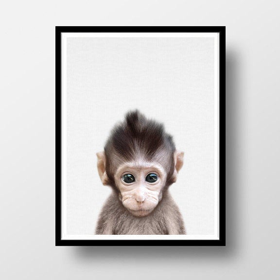 Baby Monkey Print Baby Monkey Wall Art Baby Animal Prints - Etsy