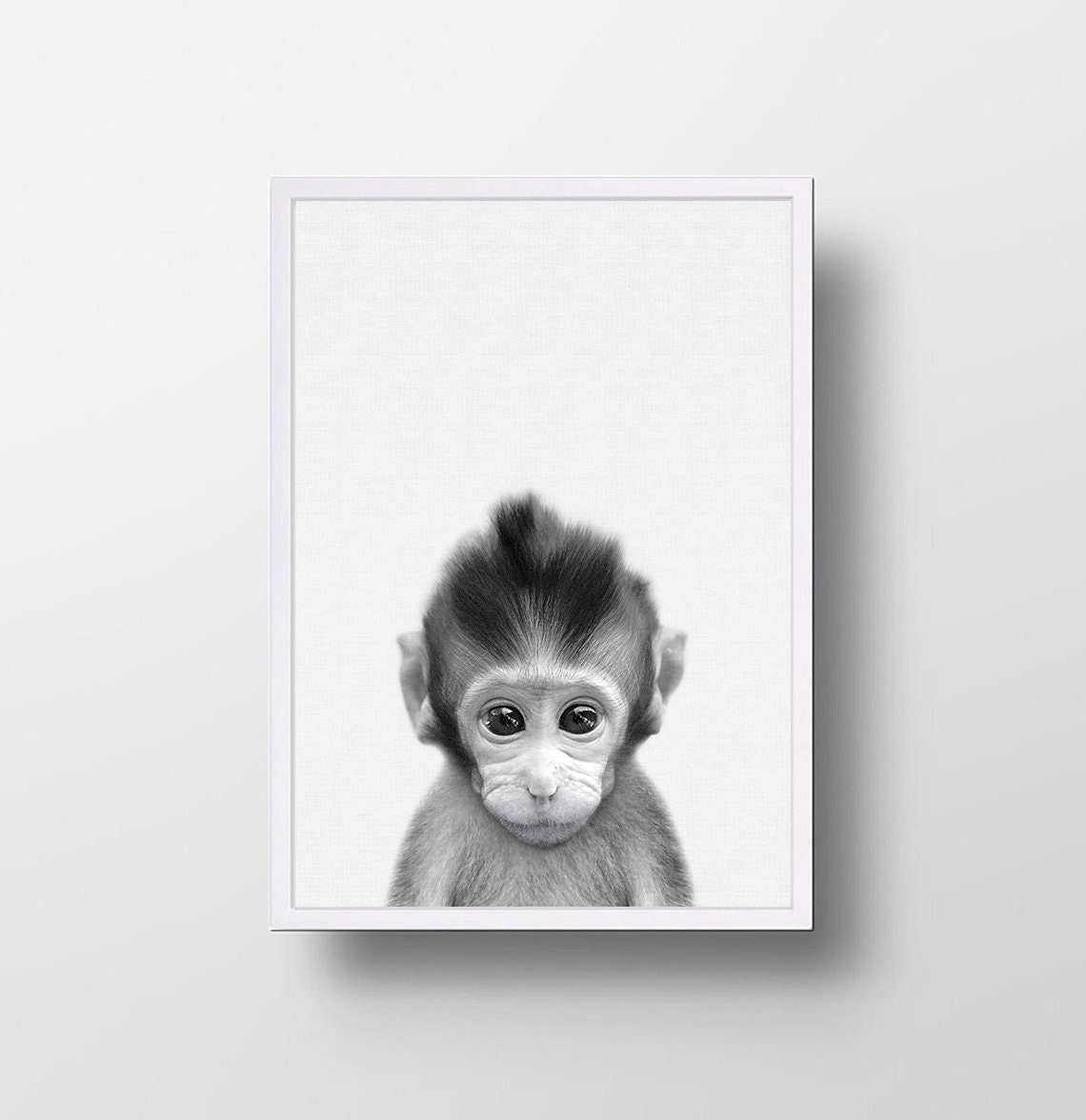 Baby Monkey Print Baby Monkey Wall Art Baby Animal Nursery | Etsy