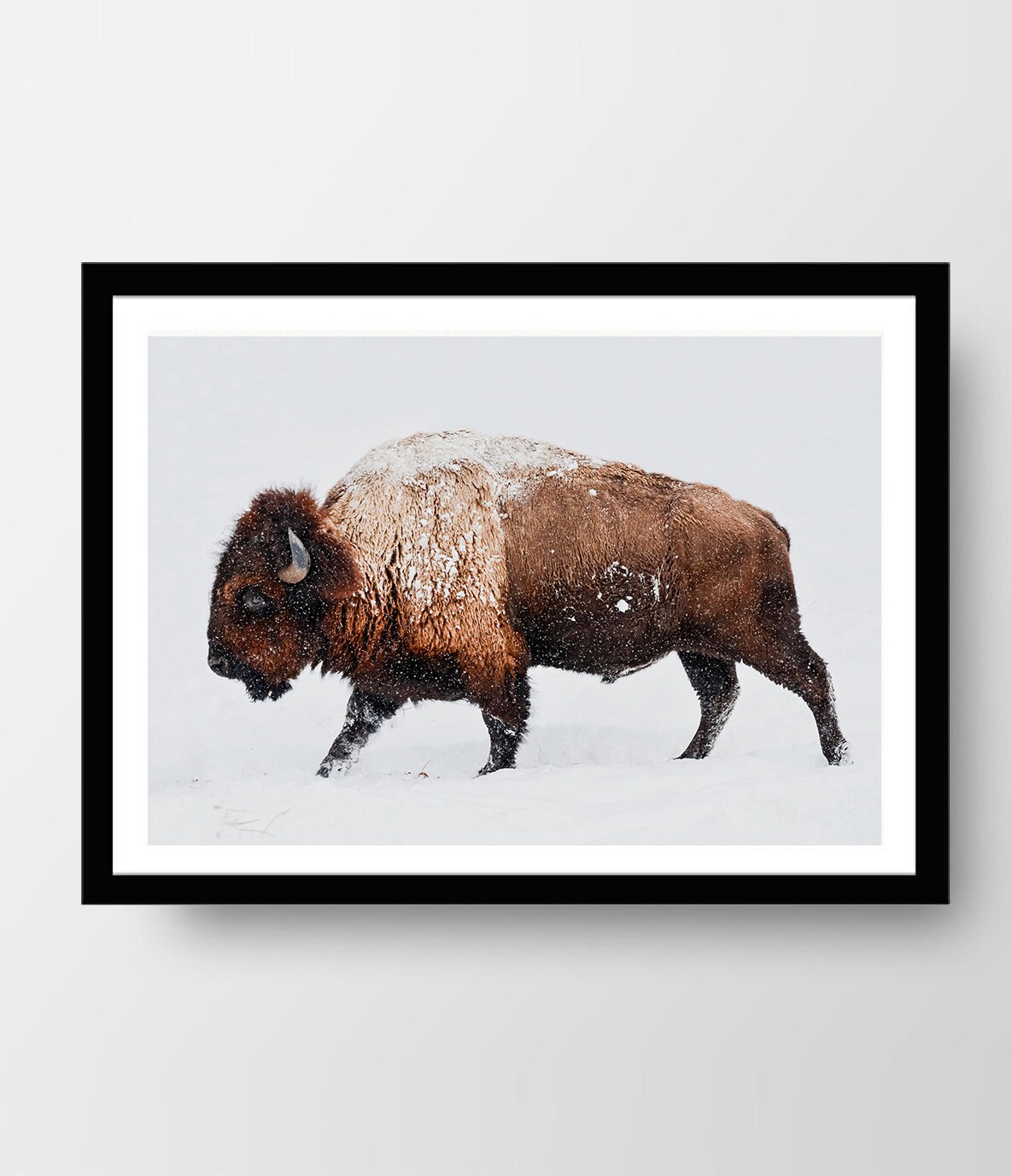 Printable Bison Bison Print Bison Wall Art Buffalo Print - Etsy