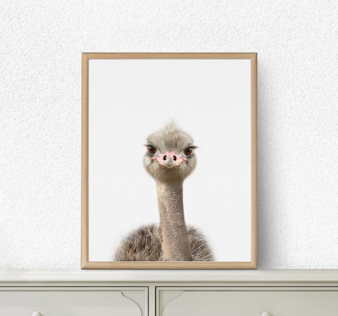 Baby Emu Print Australian Animal Baby Animal Prints Baby | Etsy