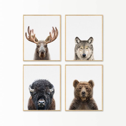 Woodland Nursery Digital Decor Animals Set of Four Bear - Etsy