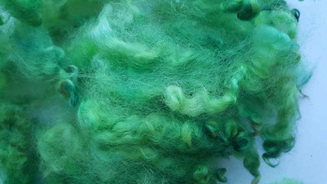 Jolly Green Variegated Wool Fleece, 1oz, Dyed Fleece Wool, Wool Locks ...