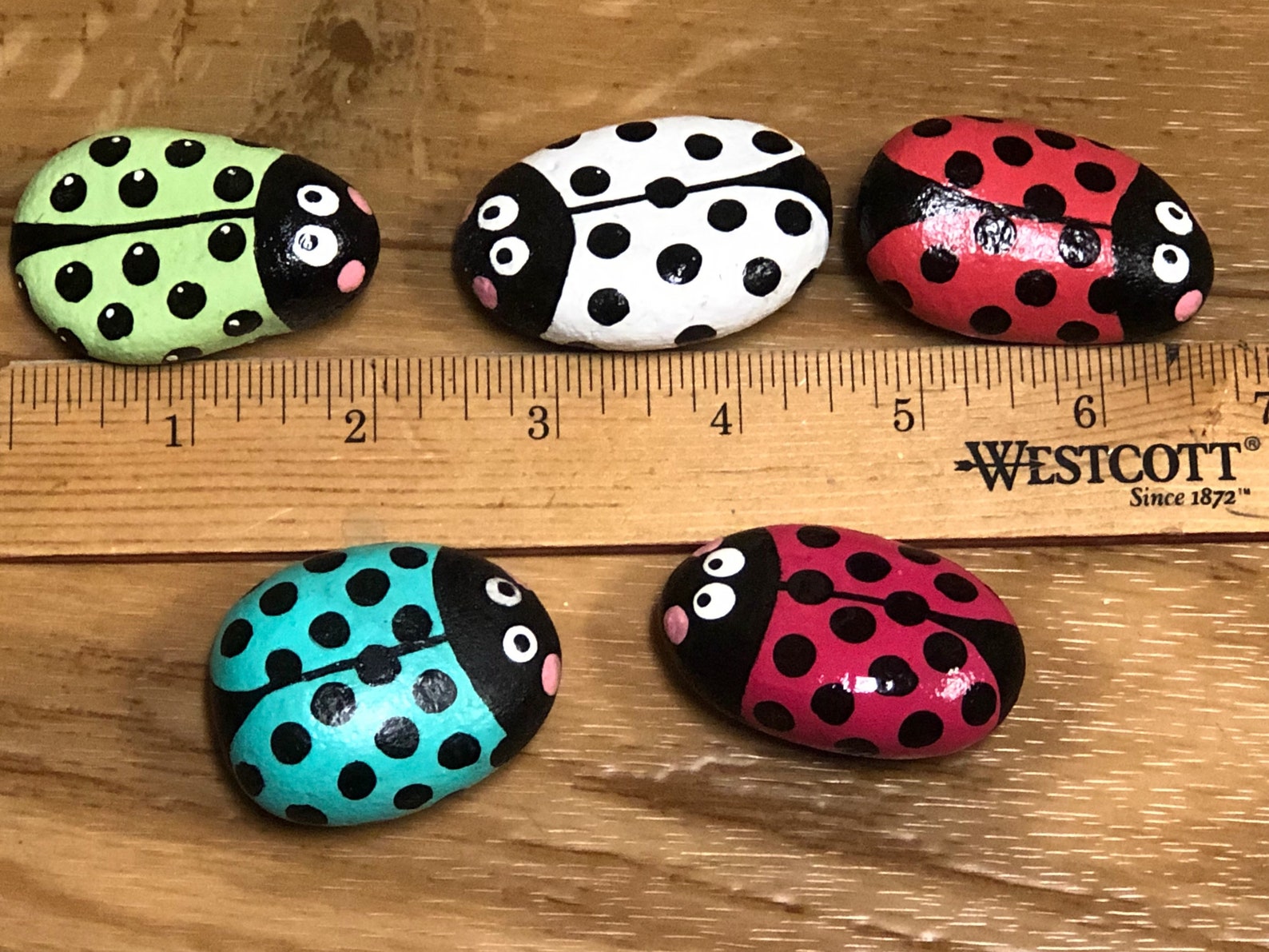 LADYBUG COUSINS Baby Bugs Hand Painted Rocks Ladybugs - Etsy