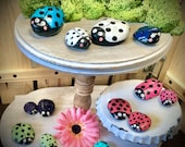 LADYBUG COUSINS Baby Bugs Hand Painted Rocks Ladybugs - Etsy