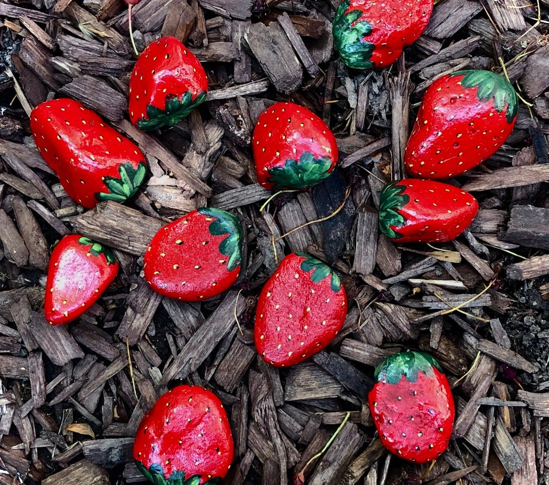 TOP SELLER. STRAWBERRY Painted Rocks. *buy More and Save*. Deters Birds ...
