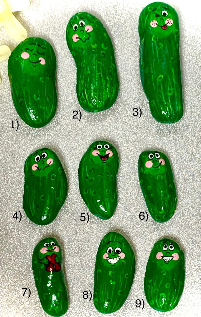 Emotional Support Pickle, Painted Rocks, Encouragement, You’re a Big ...