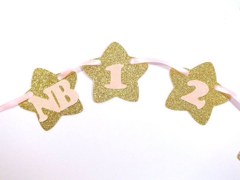 Photo Banner 12 Months Banner Twinkle Little Star Banner - Etsy