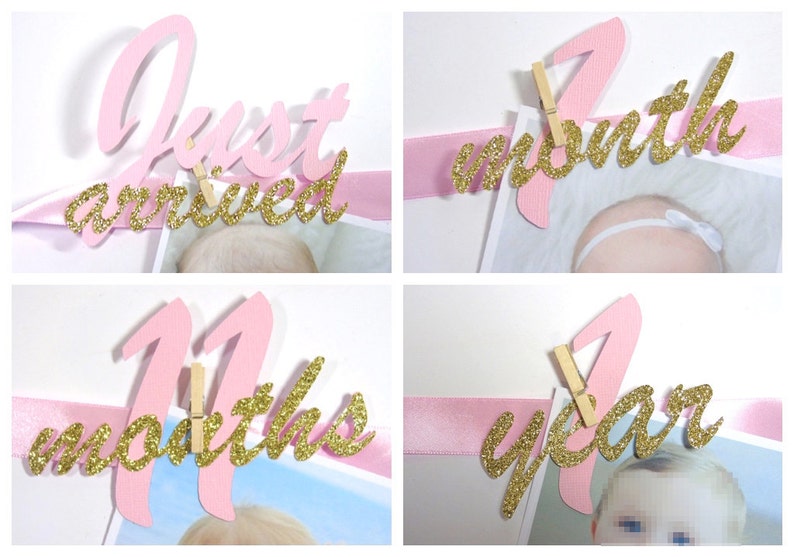 Photo Banner 1-12 Months Banner Gold and Pink First | Etsy