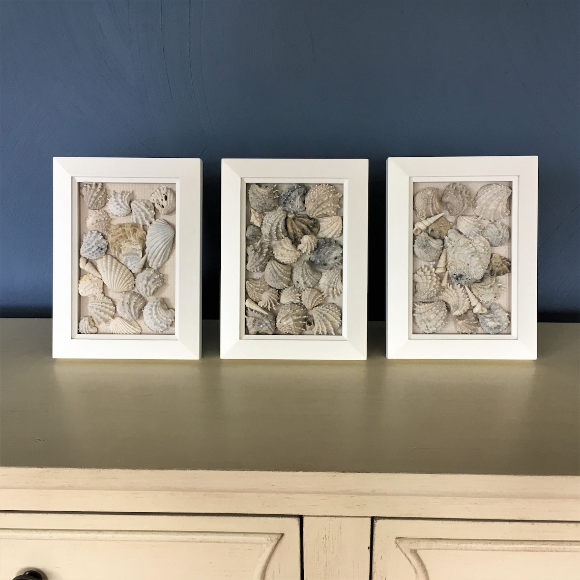 Seashell framed art Set of three | Etsy