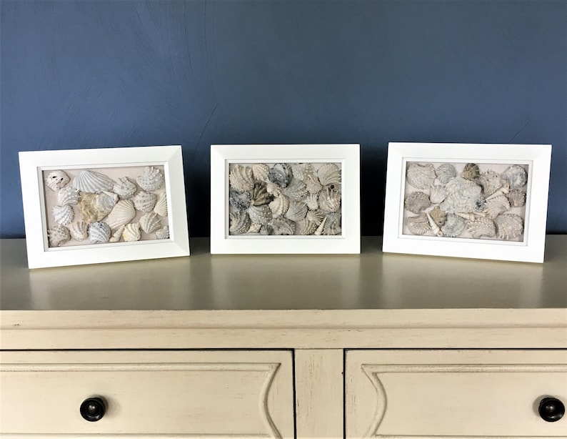 Seashell Framed Art set of Three - Etsy