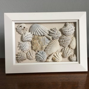 Seashell Framed Art set of Three - Etsy