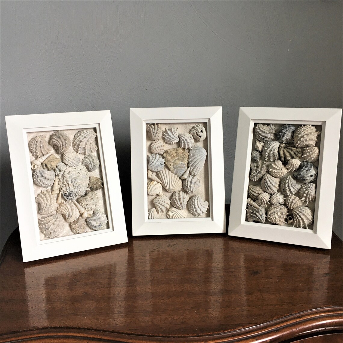 Seashell framed art Set of three | Etsy