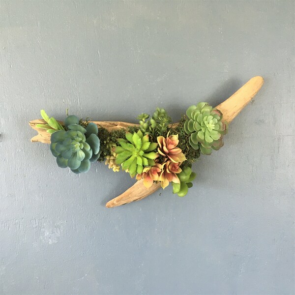 Succulent Wall Art - Etsy