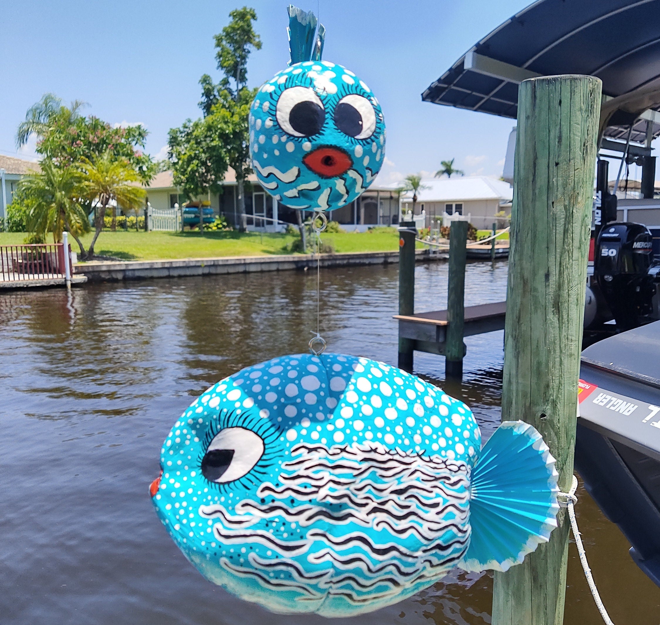 Coconut Kissing Fish