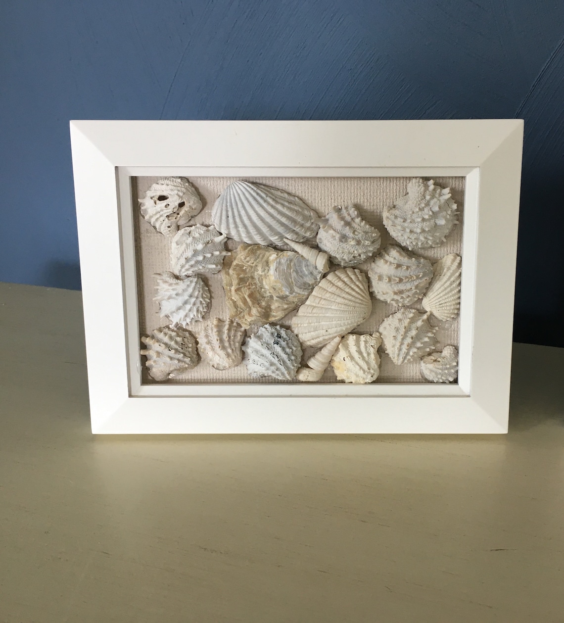 Seashell framed art Set of three | Etsy