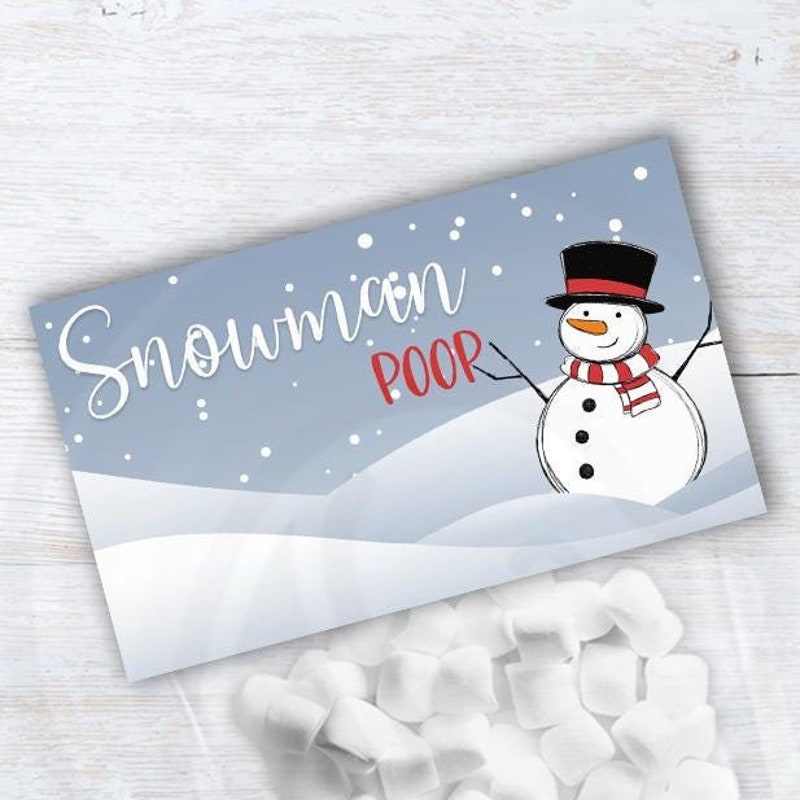 Snowman Poop Bag Topper - Etsy