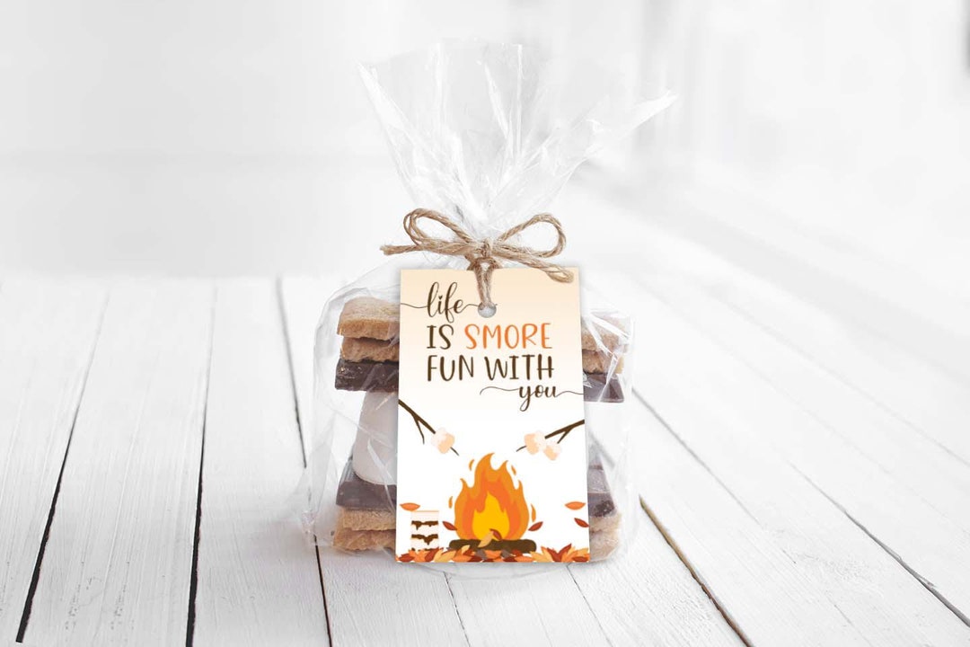 Printable Smore Gift Tags, Life is Smore Fun With You Gift Tag or Bag ...