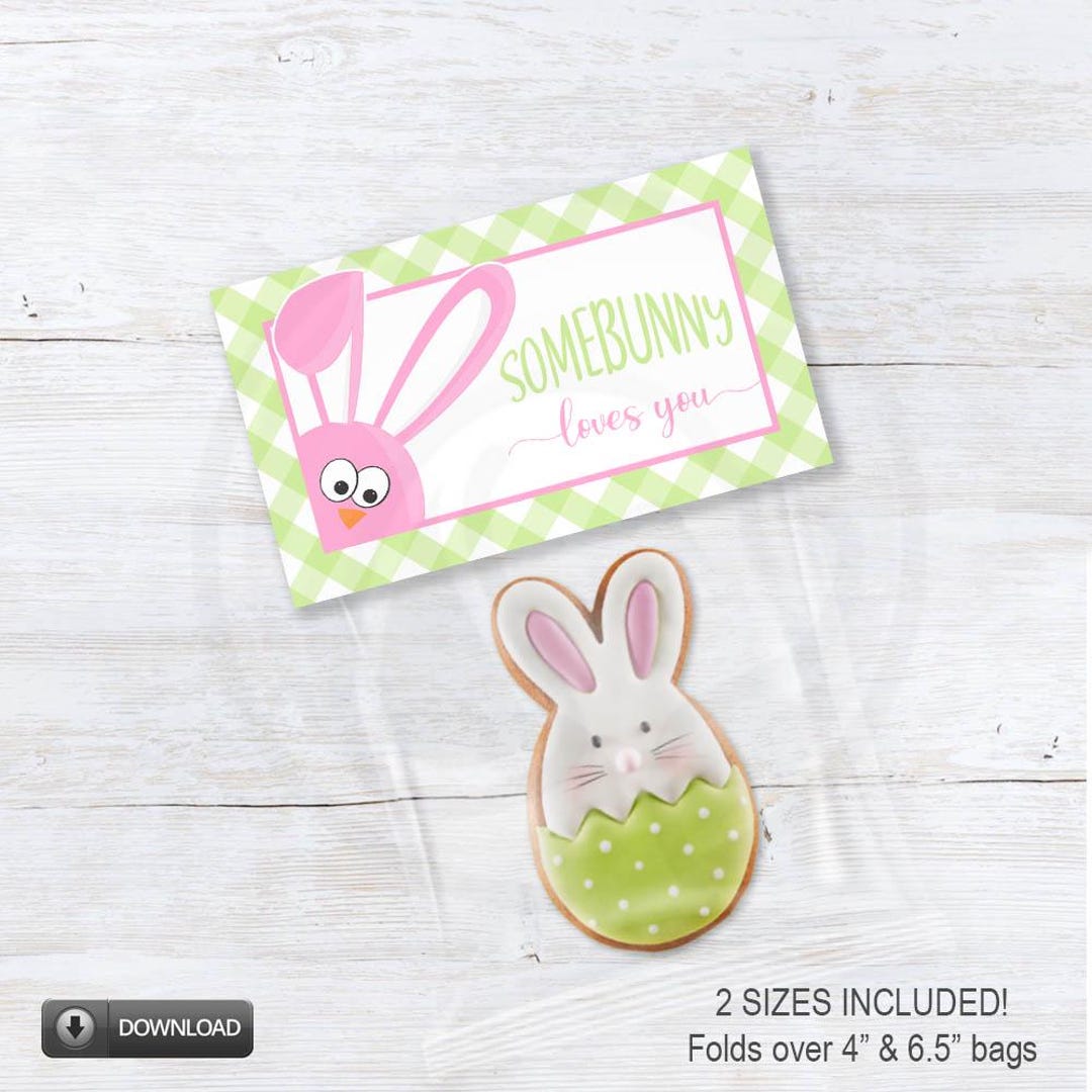 Easter Bunny Treat Bag Topper, Some Bunny Loves You Candy and Cookie ...