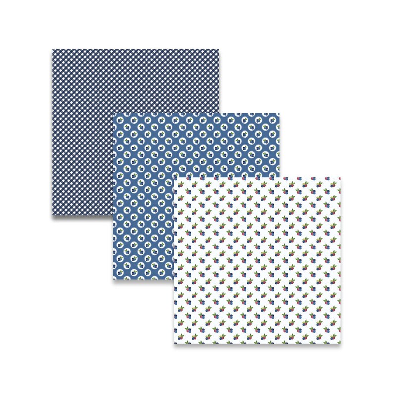 Blueberry Digital Paper Pack With Wood Backgrounds, Summer Fruit ...