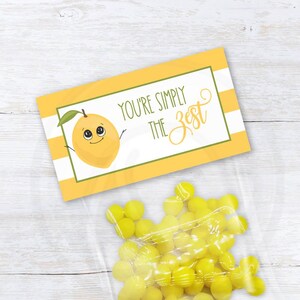 Printable Thank You Bag Topper Teacher Appreciation Week, Simply the ...