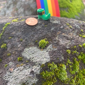 Leprechaun Trinket Kit for St Patricks Day, Leprechaun Trap, Leprechaun ...