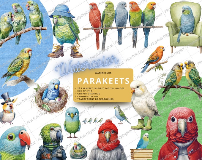 10 Parakeet Clipart, Commercial Use,jpgs, Digital Paper Crafting ...