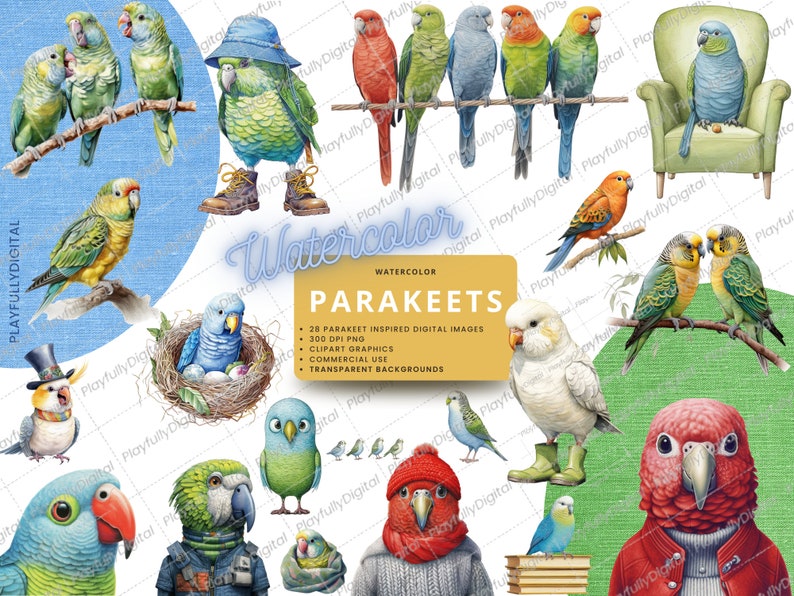 Watercolor Parakeet Clipart,pretty Parakeets,digital Download ...