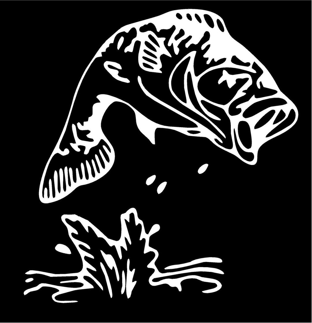 Bass Fishing Fish Vinyl Decal Fun Truck Country Bumper Sticker Car ...