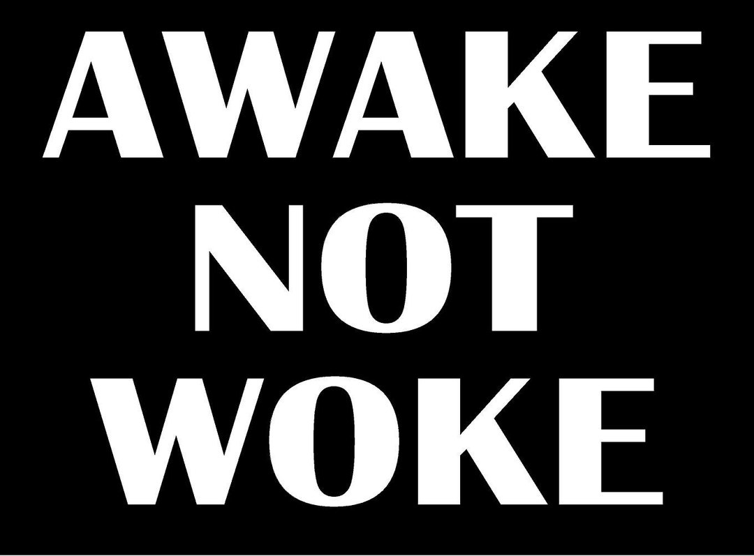 Awake Not Woke Vinyl Decal Truck Bumper Sticker Car Truck Laptop Fun - Etsy
