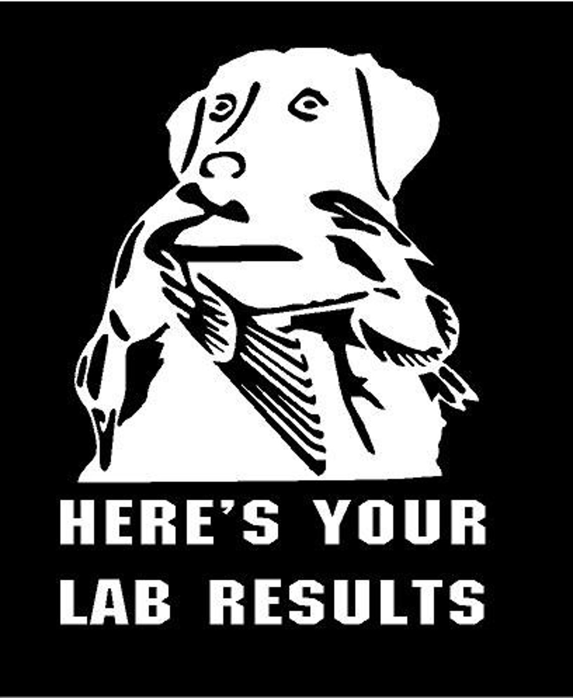 Vinyl Decal Lab Here's Your Lab Results Duck Hunt Truck | Etsy
