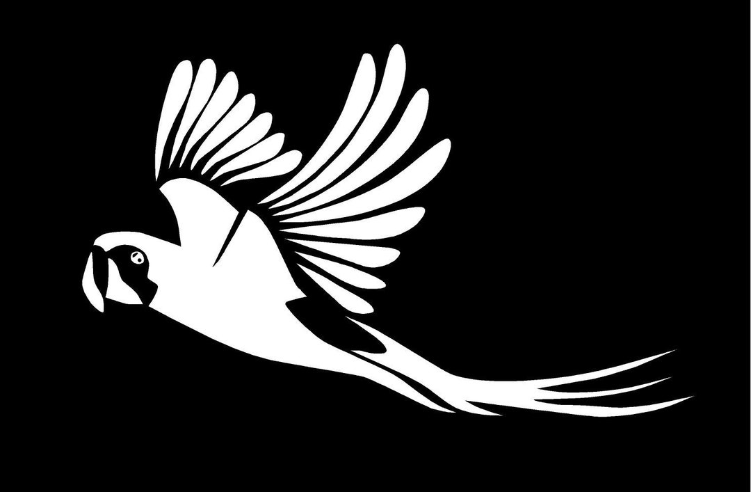 Parrot Flying Vinyl Decal Bird Fun Truck Bumper Sticker Car Truck ...