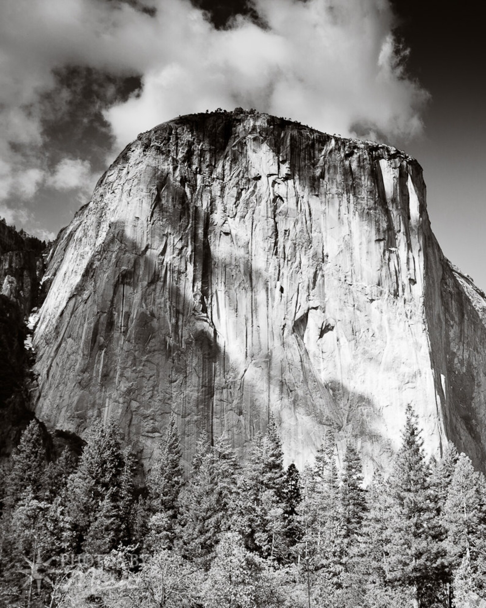 El Capitan - Photographic Print on Canvas. Giclee. Nature. Landscape ...