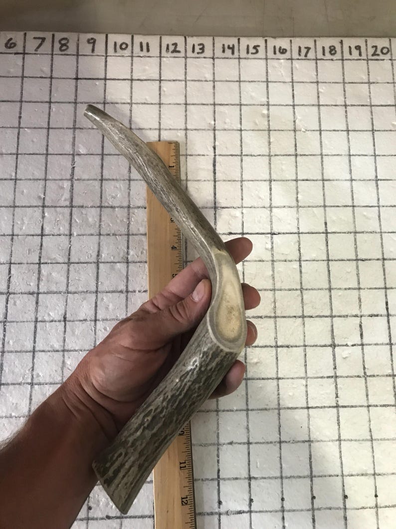 Extra Large Antler for Dogs/antler Dog Chew/deer Antler Dog Chew - Etsy