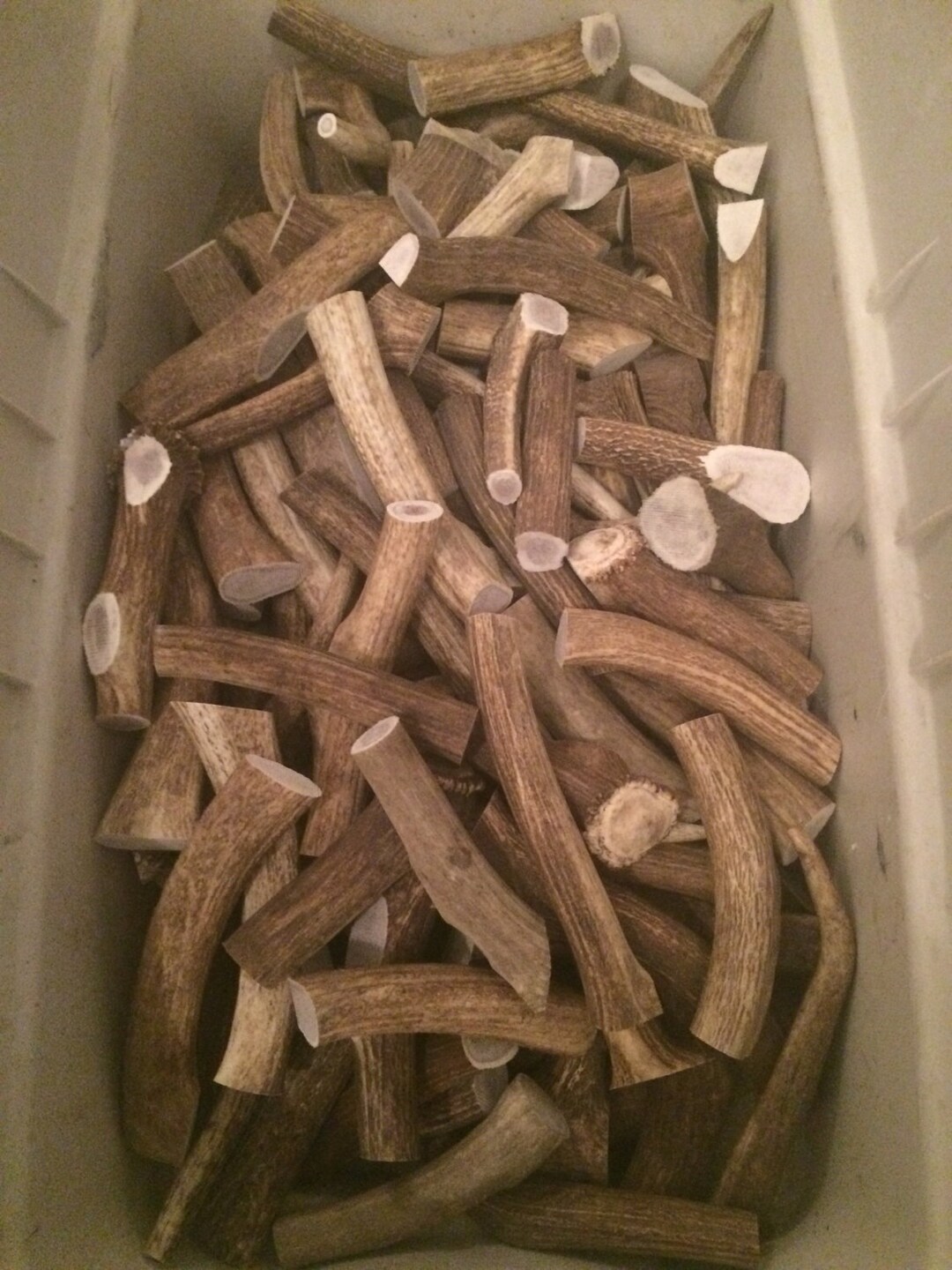 10 Lbs Bulk Deer & Elk Antler Dog Chews – Natural Shed, Long Lasting ...