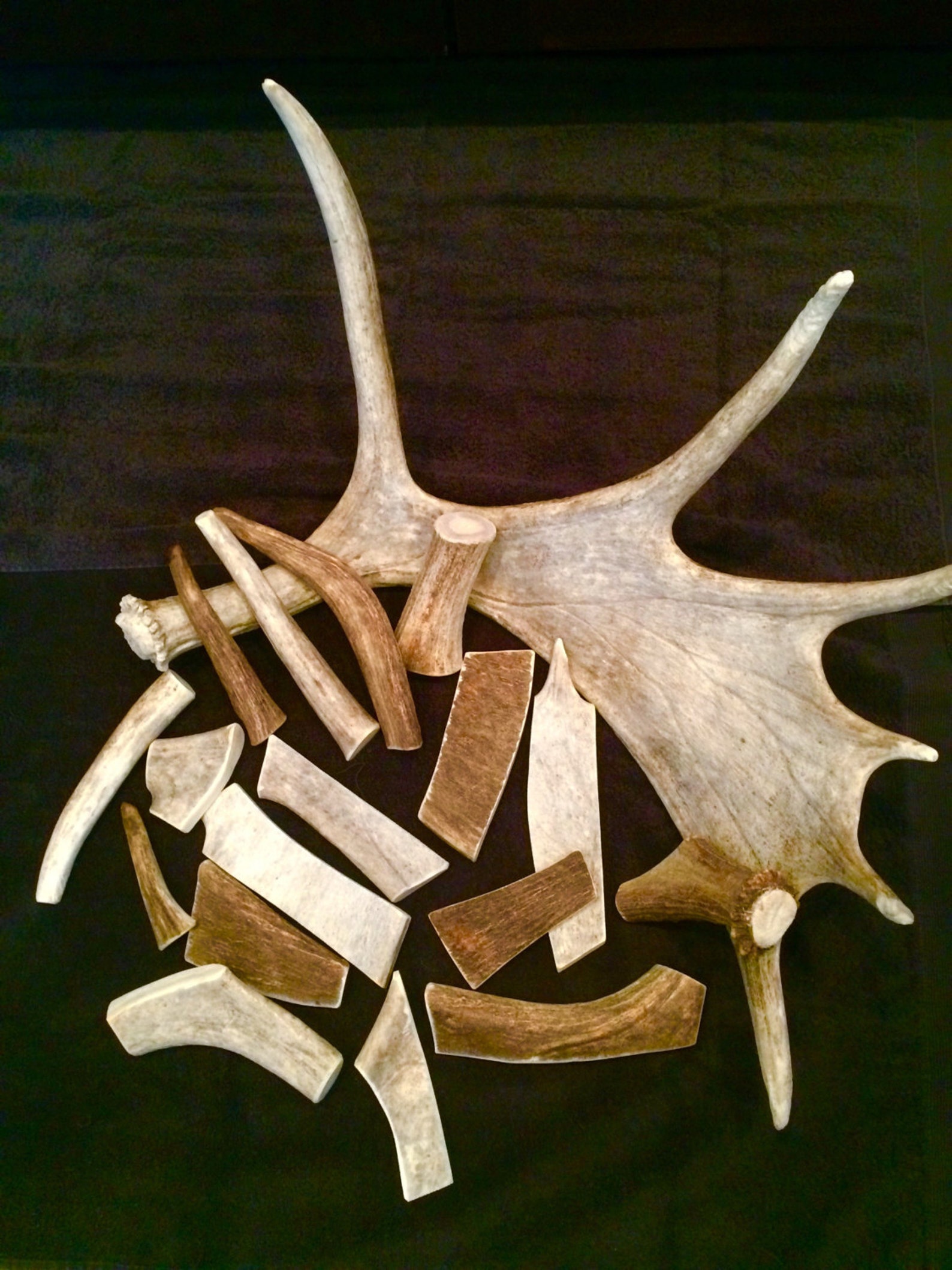 Moose Antler Dog Chews - Etsy