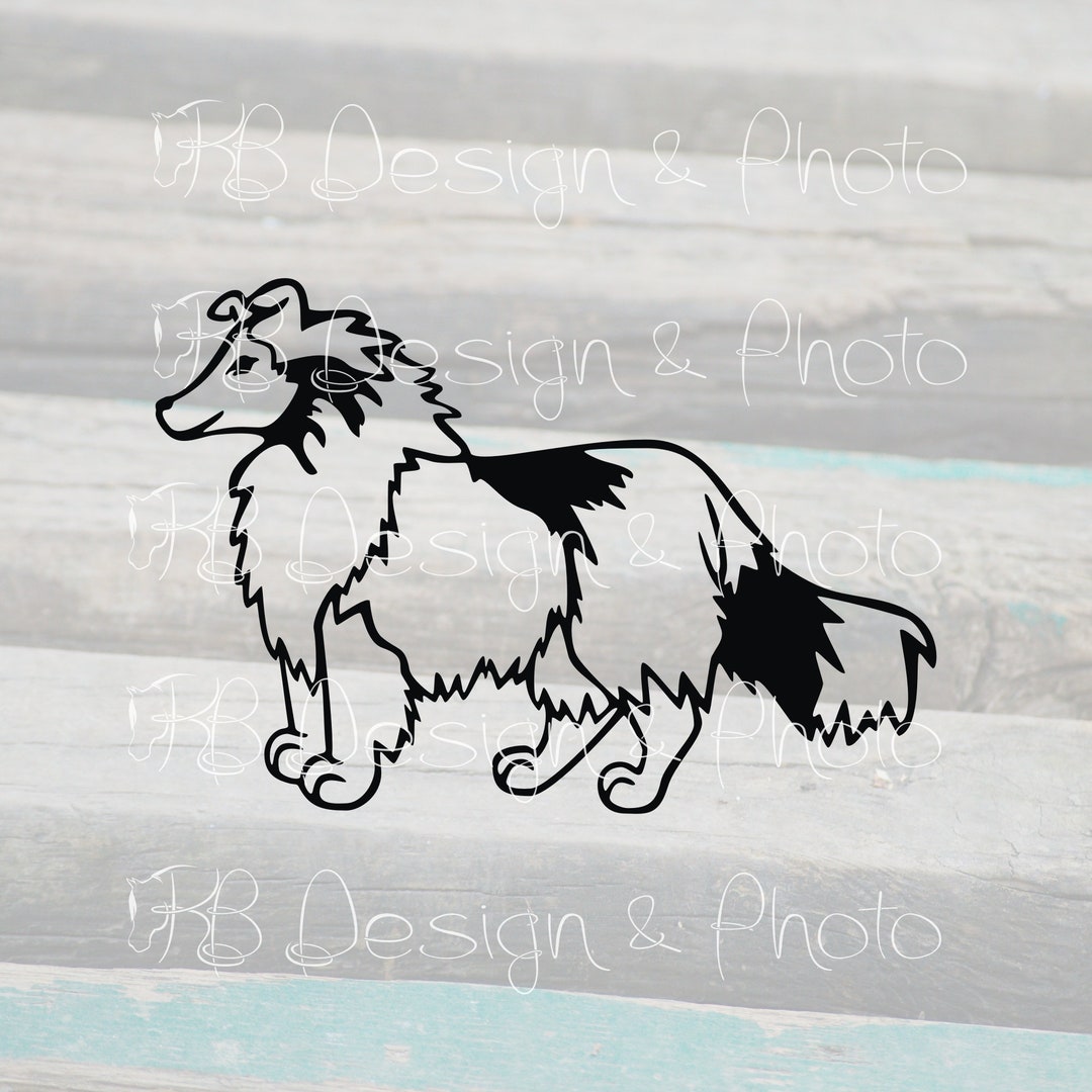 Shetland Sheepdog Vector/raster- SVG, PNG, JPG - Etsy