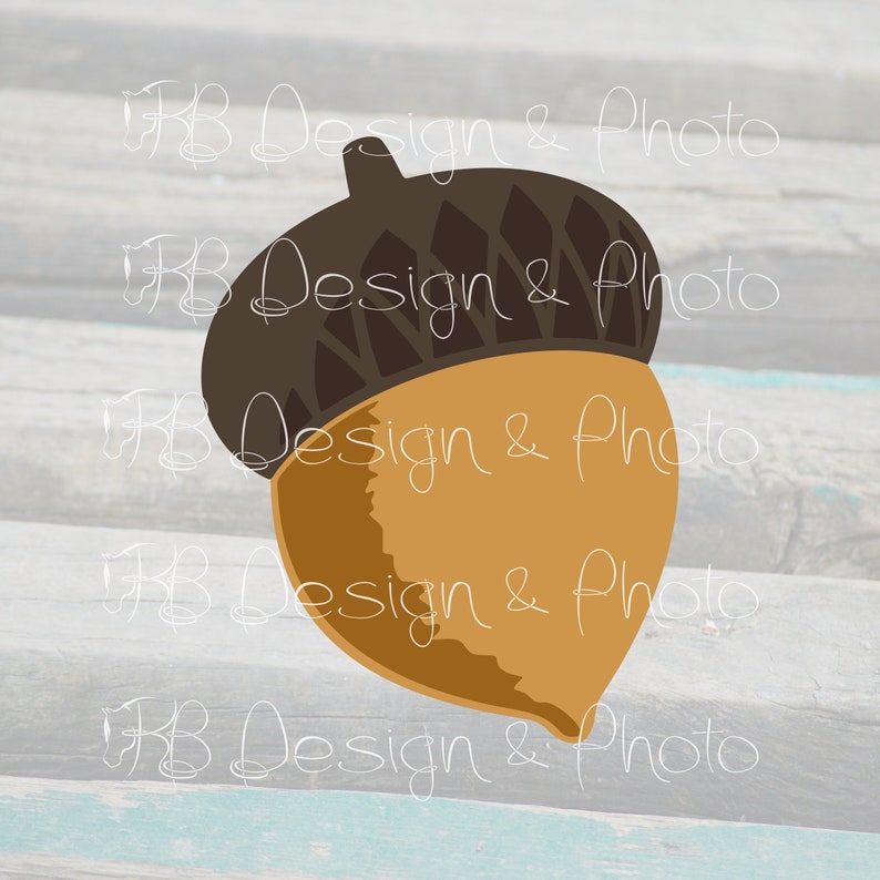 Acorn Vector/raster SVG PNG JPG - Etsy