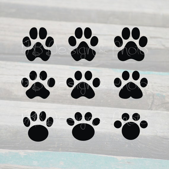 Paws Vector/raster SVG PNG JPG - Etsy