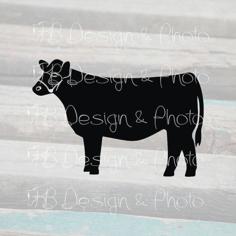Heifer - Etsy