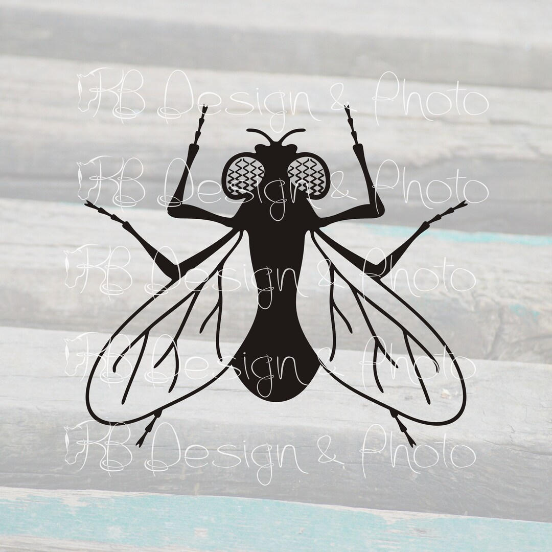 Fly Vector/raster- SVG, PNG, JPG - Etsy