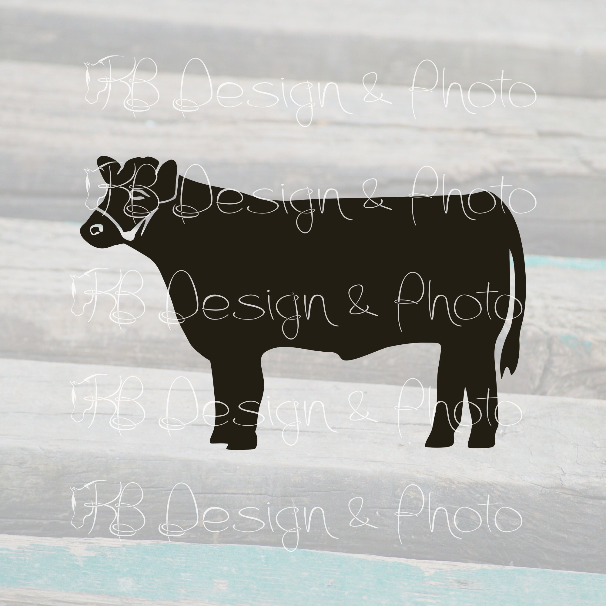 Steer Vector/raster- SVG, PNG, JPG - Etsy