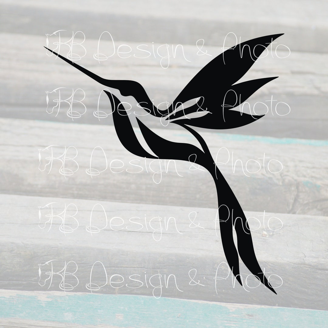 Abstract Hummingbird Vector/raster- SVG, PNG, JPG - Etsy