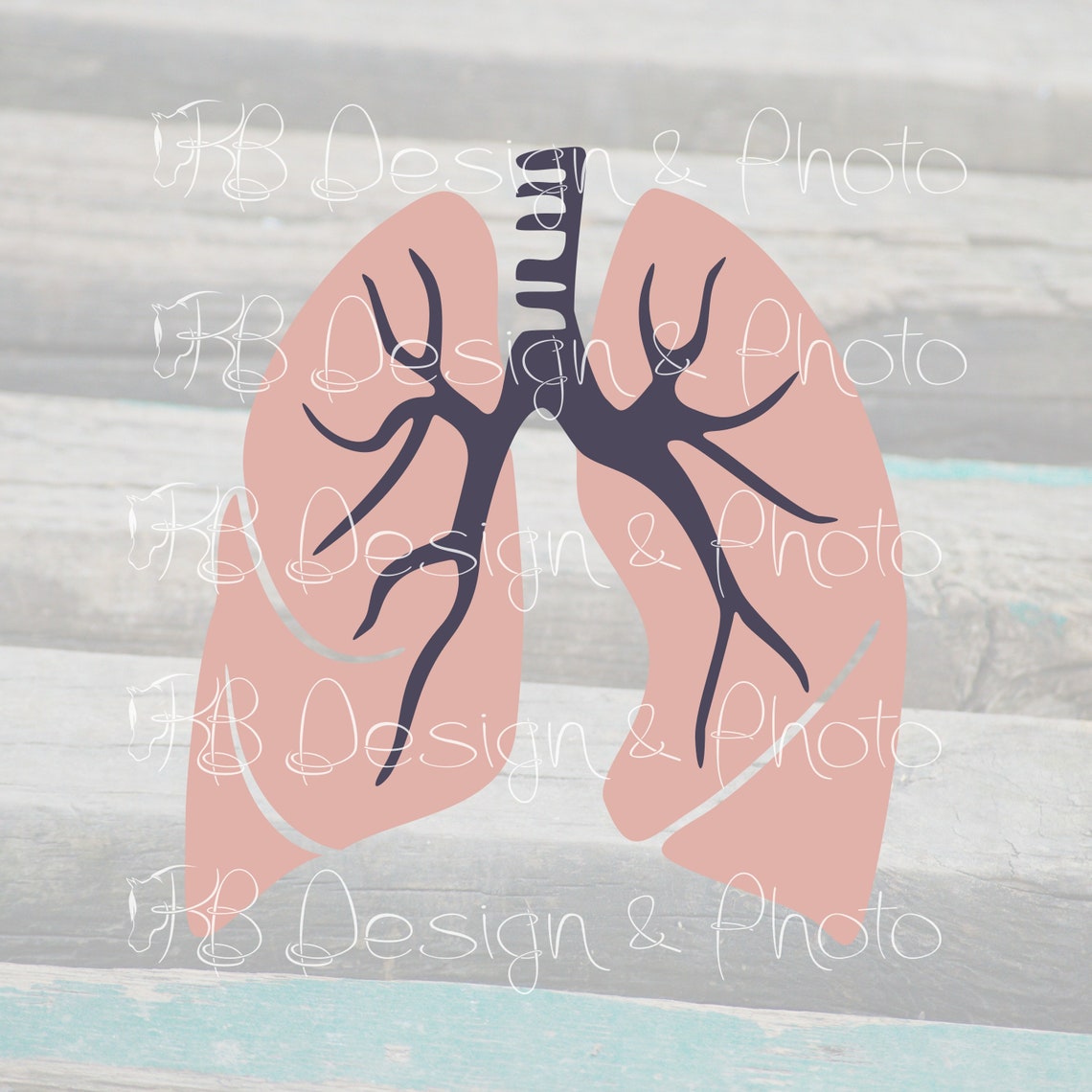 Lungs Vector/raster SVG PNG JPG - Etsy
