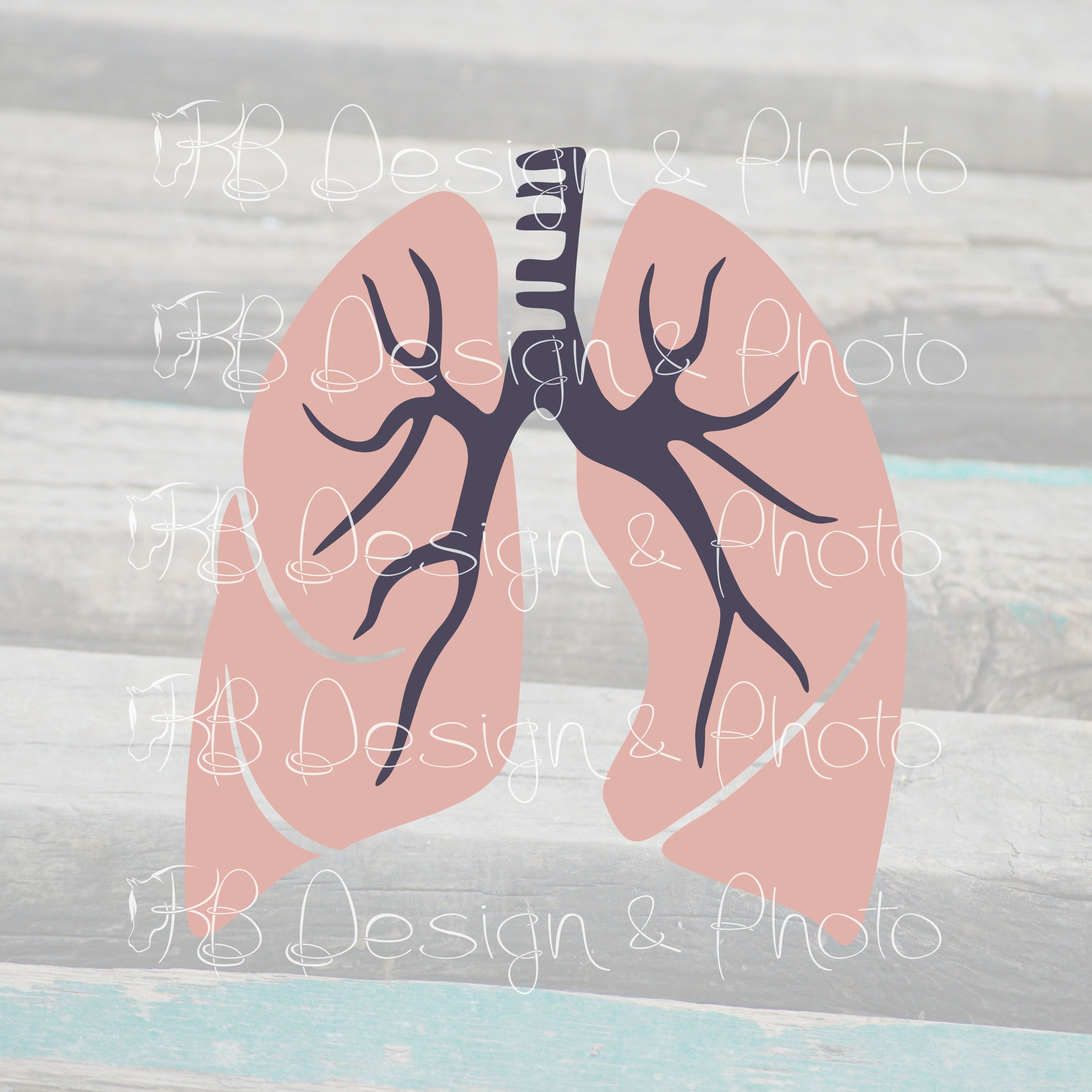Lungs Vector/Raster SVG PNG JPG | Etsy