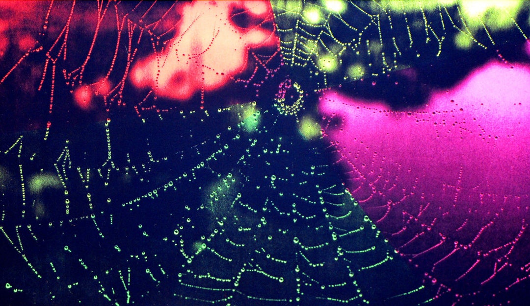 Colorful Cobweb Art Print; Photo of Nature's Cobweb With Added Color by ...