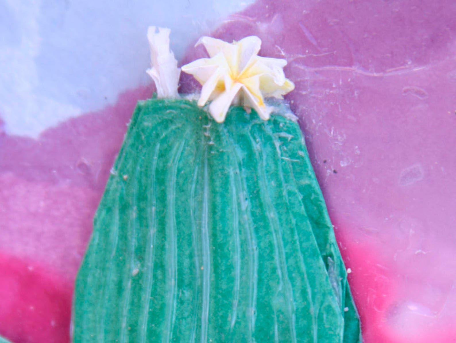 Desertscape Southwest Desert Coyote Cactus Saguaro Art | Etsy