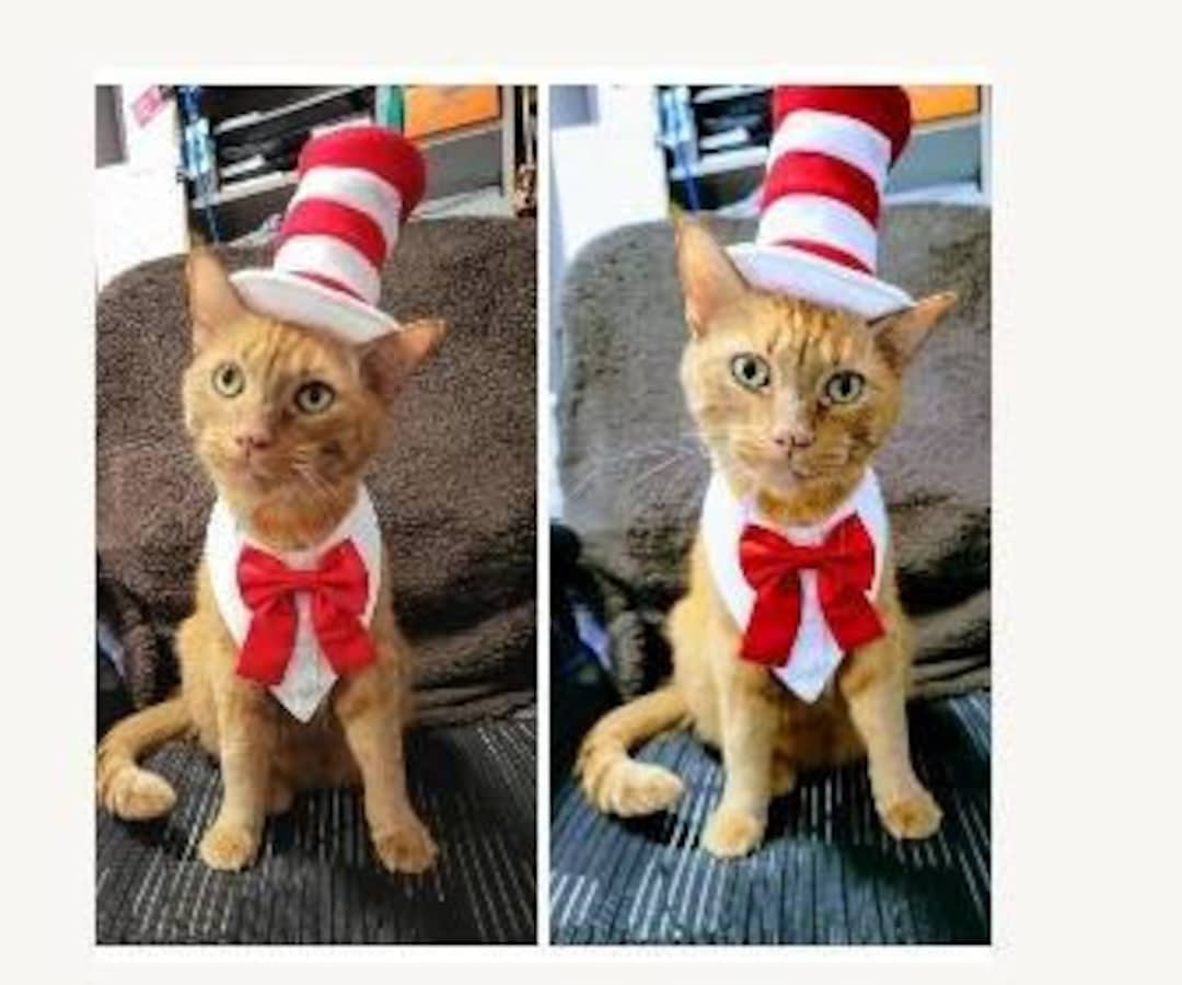 Cat Costume, Cat in the Hat Dr. Seuss Inspired Hat. Halloweenhat ...