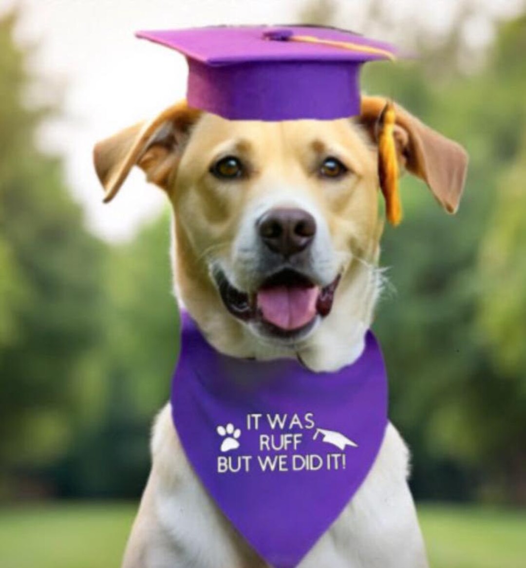 Graduation Dog Cap and Dog Graduation Bandana, Graduation Cat Cap and ...