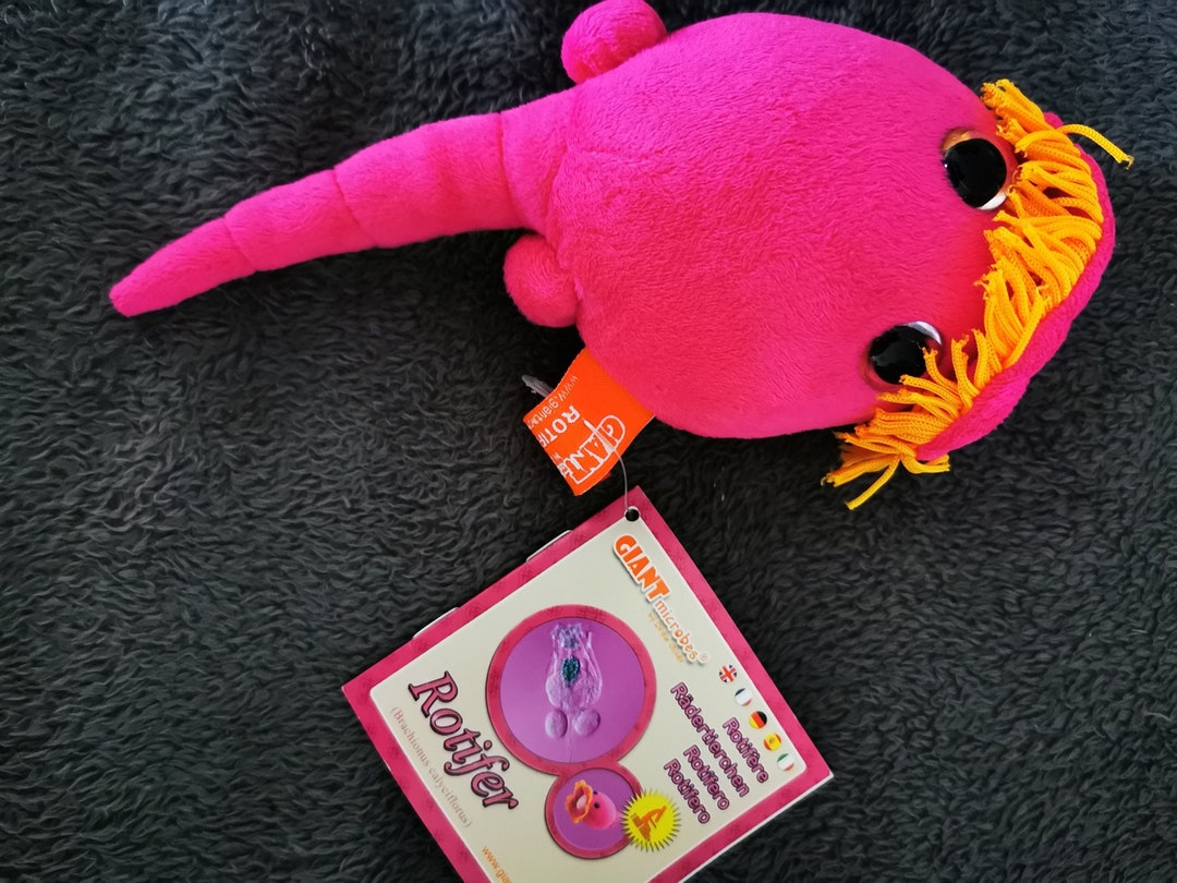 Giant Microbes Rotifer Virus Plush With Original Tags - Etsy